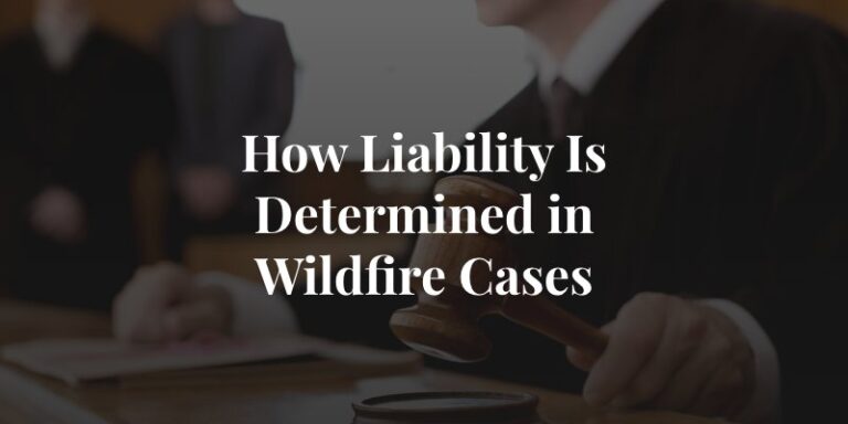 How Is Liability Determined in Wildfire Cases?