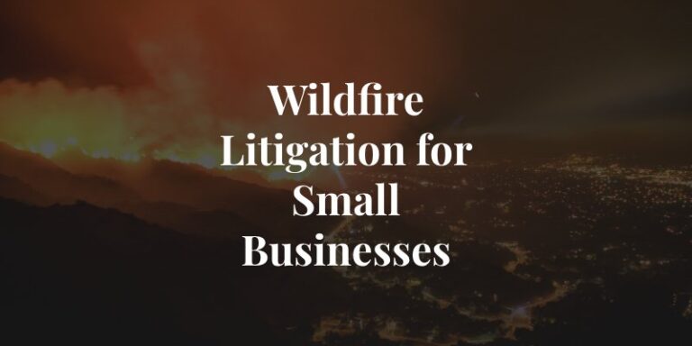 Wildfire Litigation for Small Businesses